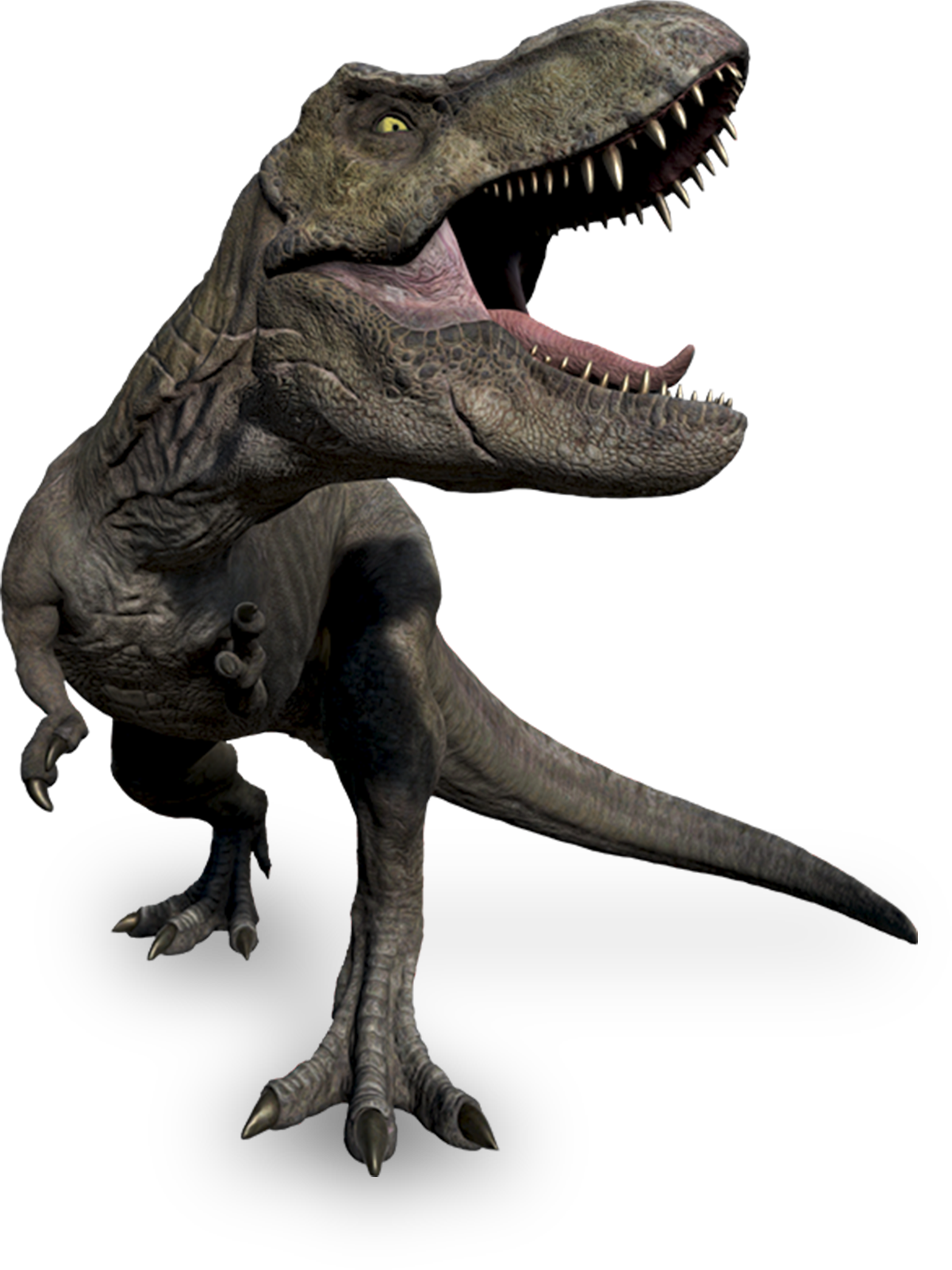 Attack Ready | VeVe Collectibles